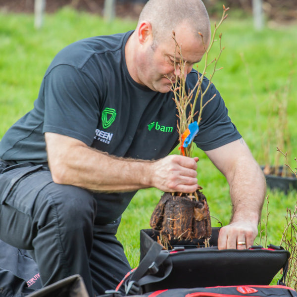 About US | FFS Beauty | EU